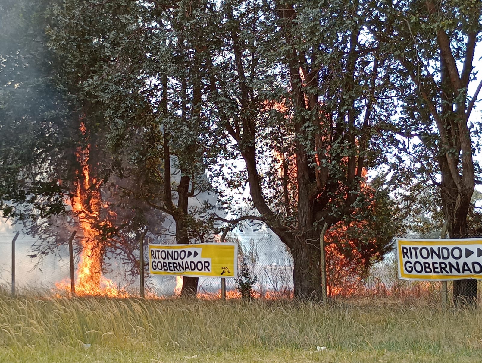 Otro foco de incendio forestal en la Autopista 5 - [Noticias de Luján ...